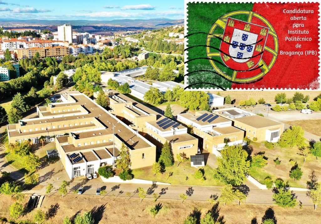 Como se candidatar no mestrado do IPB? - Blog Estude em Portugal